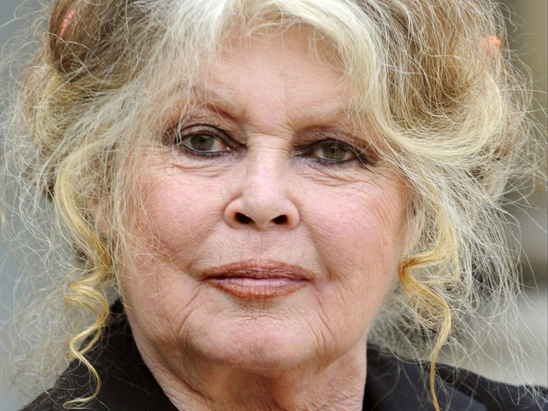 Brigitte Bardot: Bittere Mamabilanz! | Wunderweib Brigitte Bardot: Bittere Mamabilanz! | Wunderweib