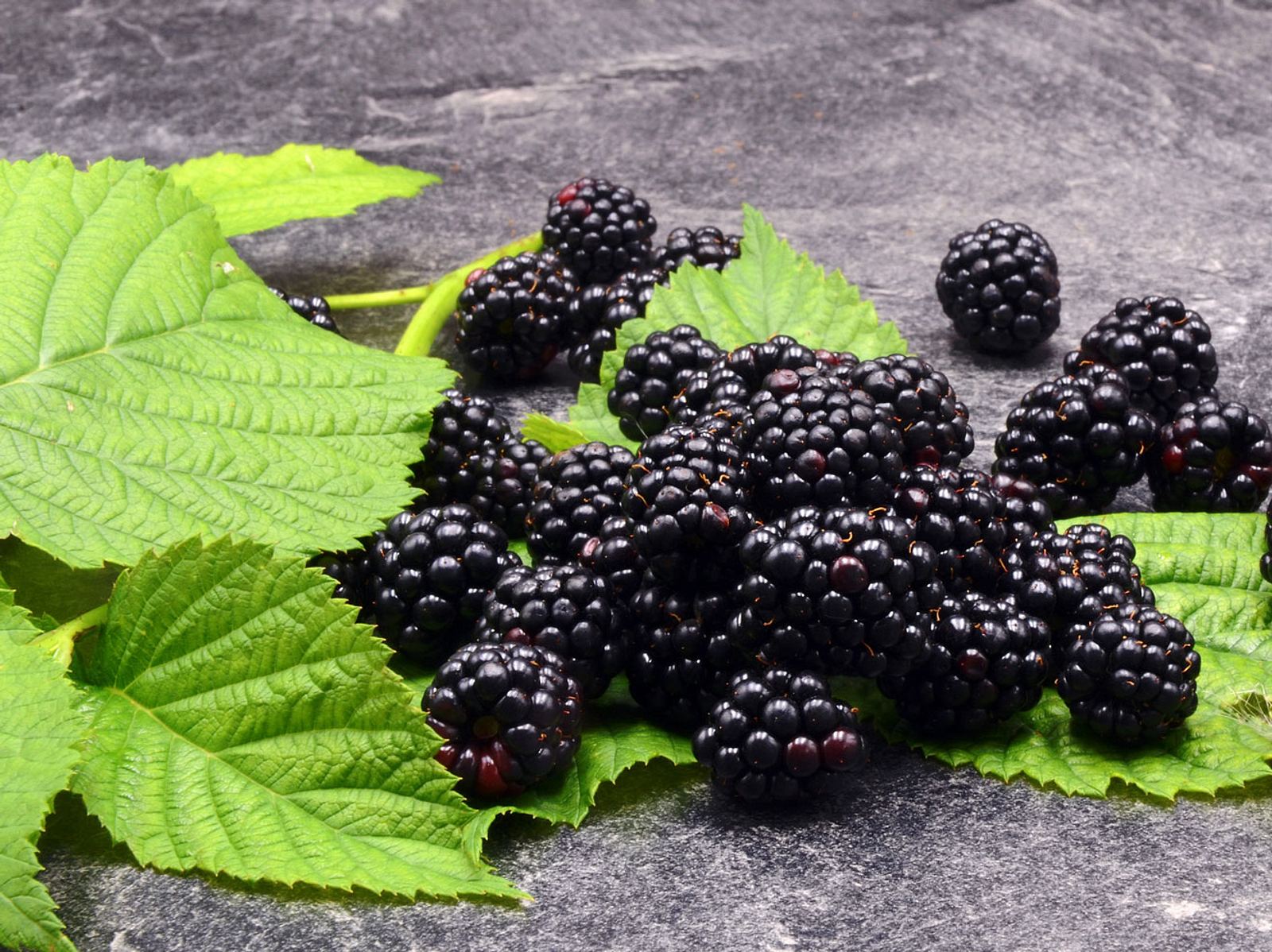 Warum sind Brombeeren gesund? | Wunderweib