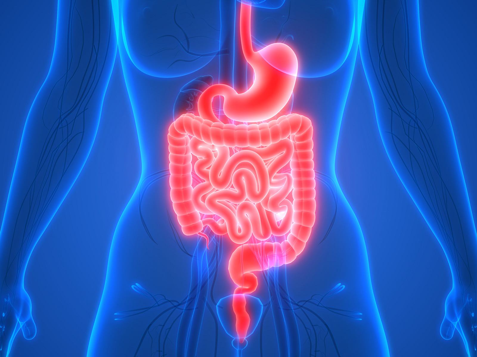 Colon-Hydro-Therapie: So funktioniert die neue Darmspülung | Wunderweib