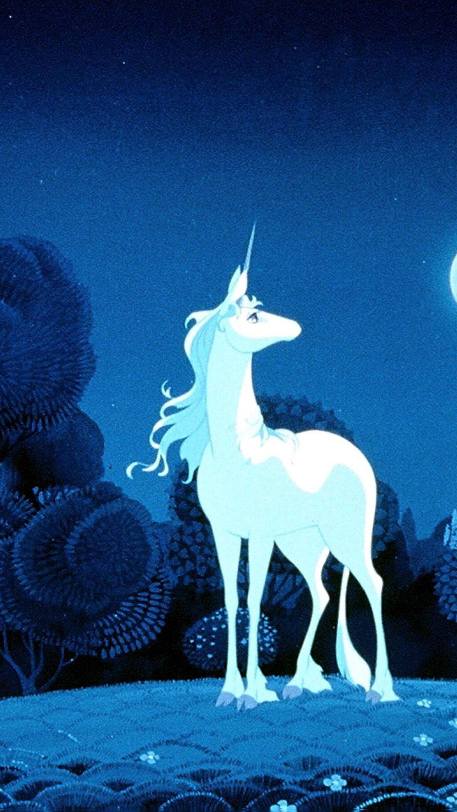 Acerca De Einhorn On