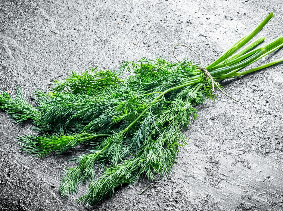 Dill trocknen | Kräuter trocknen: So trocknest du Salbei, Rosmarin & Co ...