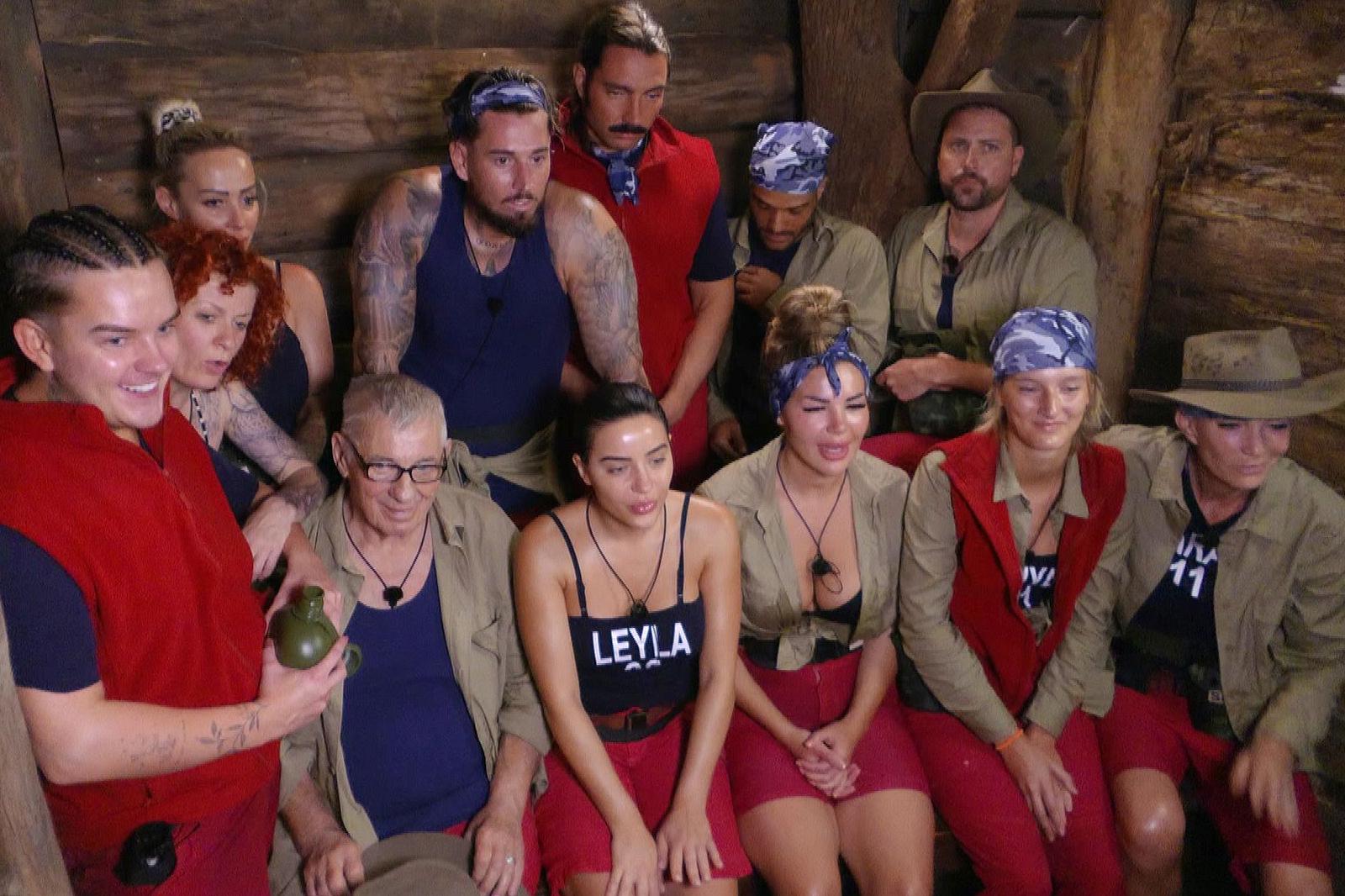 Dschungelcamp-Voting: So werden Zuschauer und Promis an der Nase herumgeführt | Wunderweib