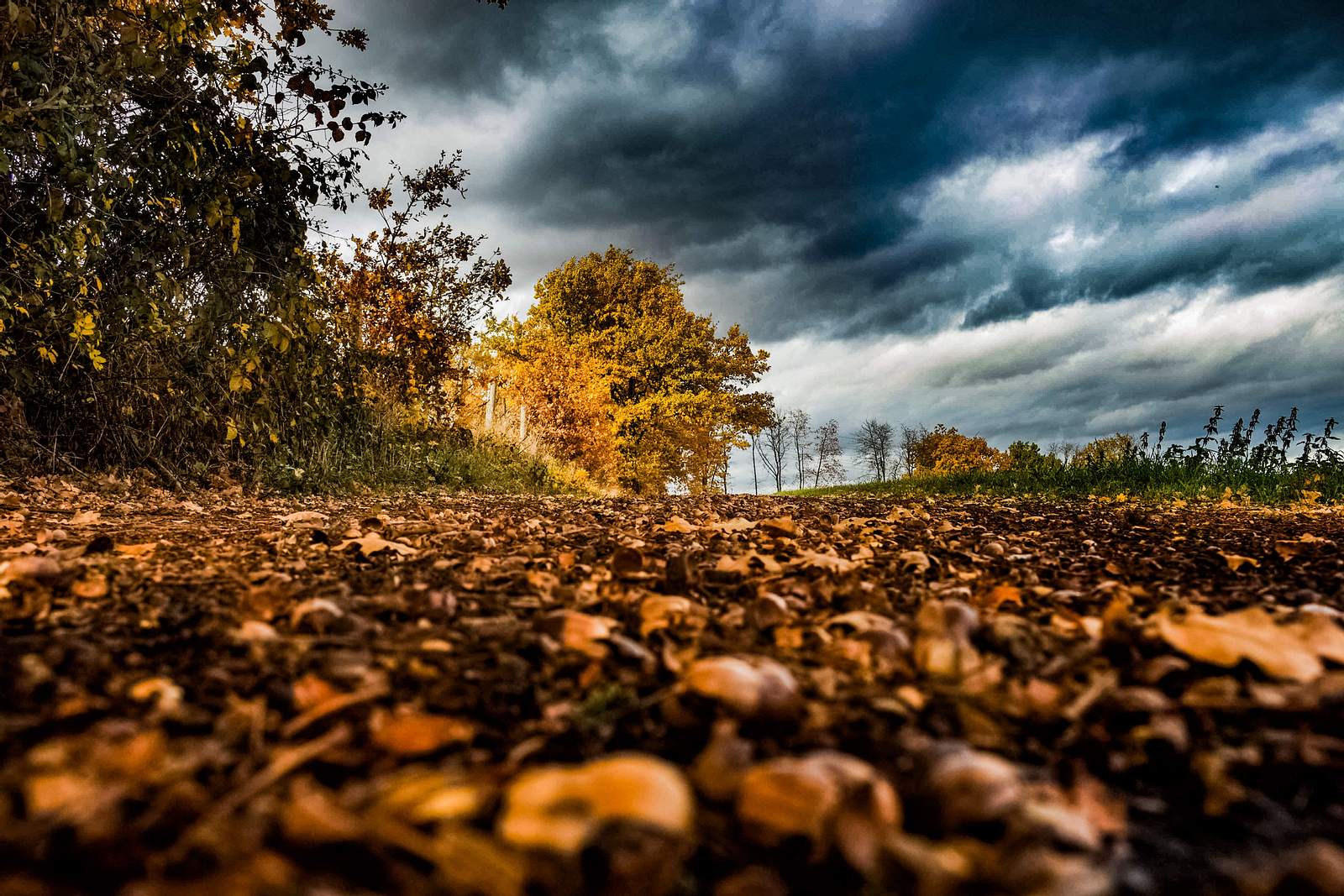 Achtung, der Herbst kommt! Jetzt wird's richtig stürmisch | Wunderweib