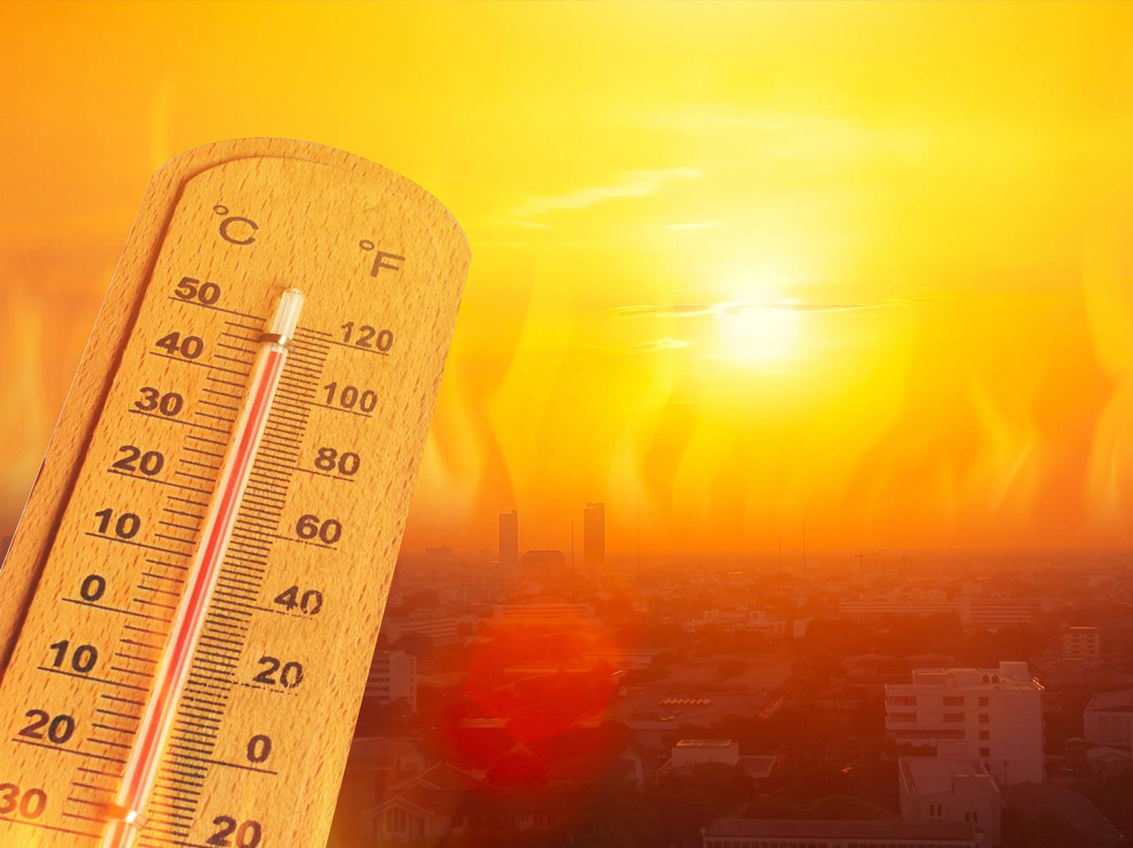 40 Grad! Extreme Hitzewelle überrollt Deutschland! | Wunderweib