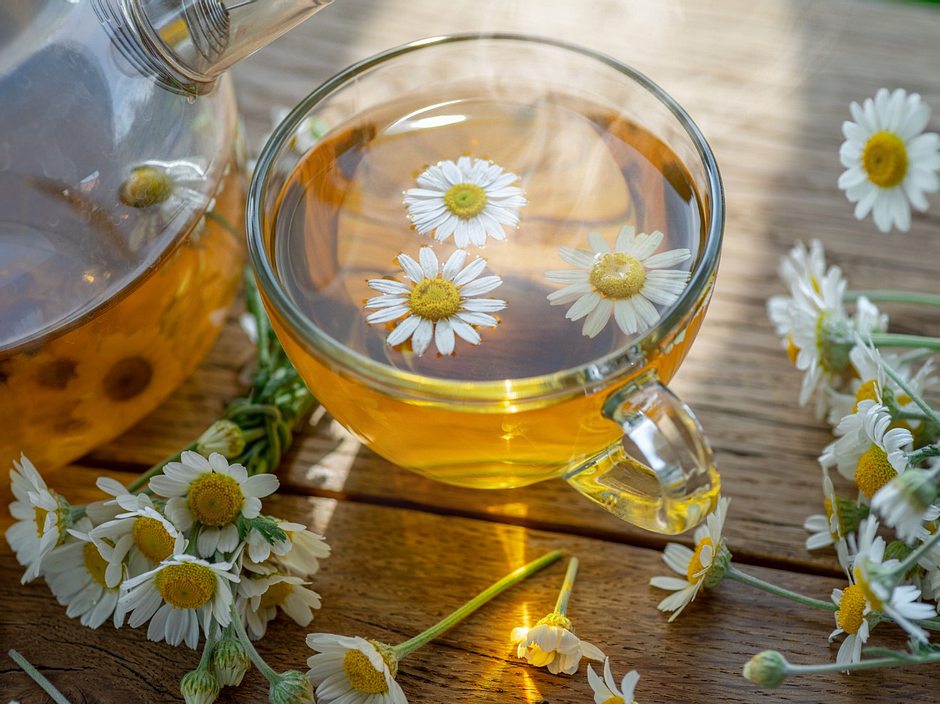 Kamillentee: Wirkung und wo die Heilpflanze wächst | Wunderweib