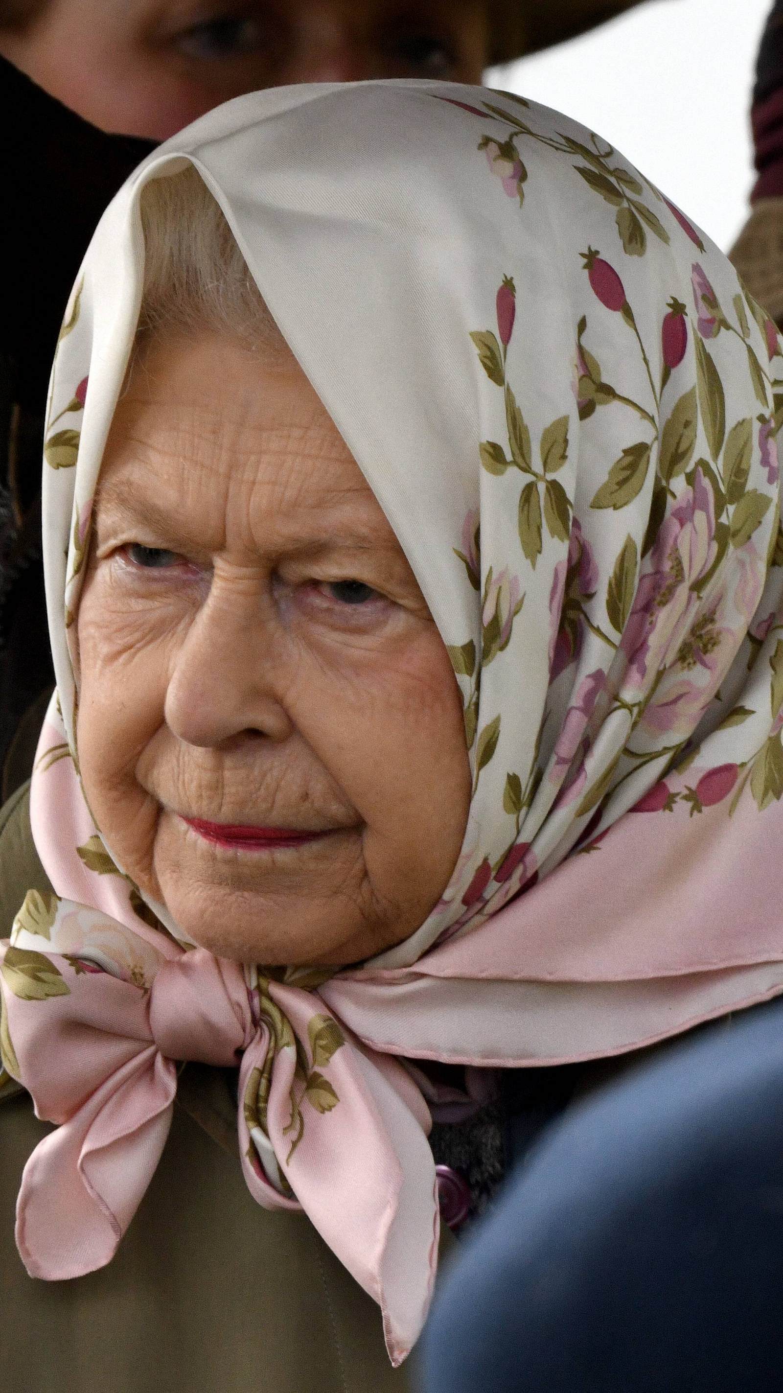 Elizabeth Plante's Instagram, Twitter & Facebook on IDCrawl