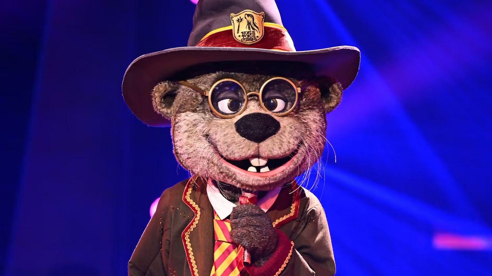 „Masked Singer“ 2025: Harry Otter enthüllt - er steckt dahinter ...