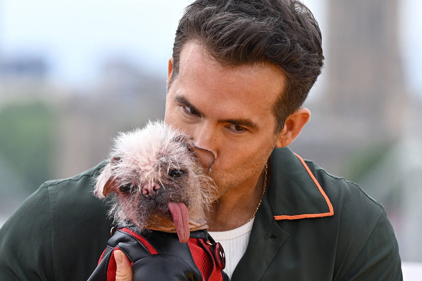 Dogpool: Zunge, Rasse & Alter! Alles über Hund Peggy | Wunderweib