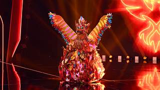 Masked Singer: Mülli Müller enthüllt - Dieser Promi steckt dahinter! | Wunderweib